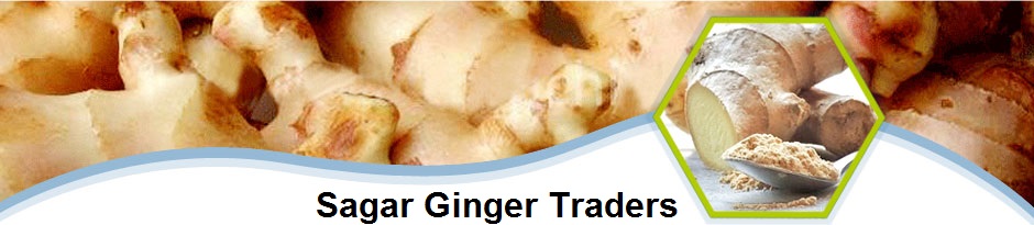 Sagar Ginger Traders